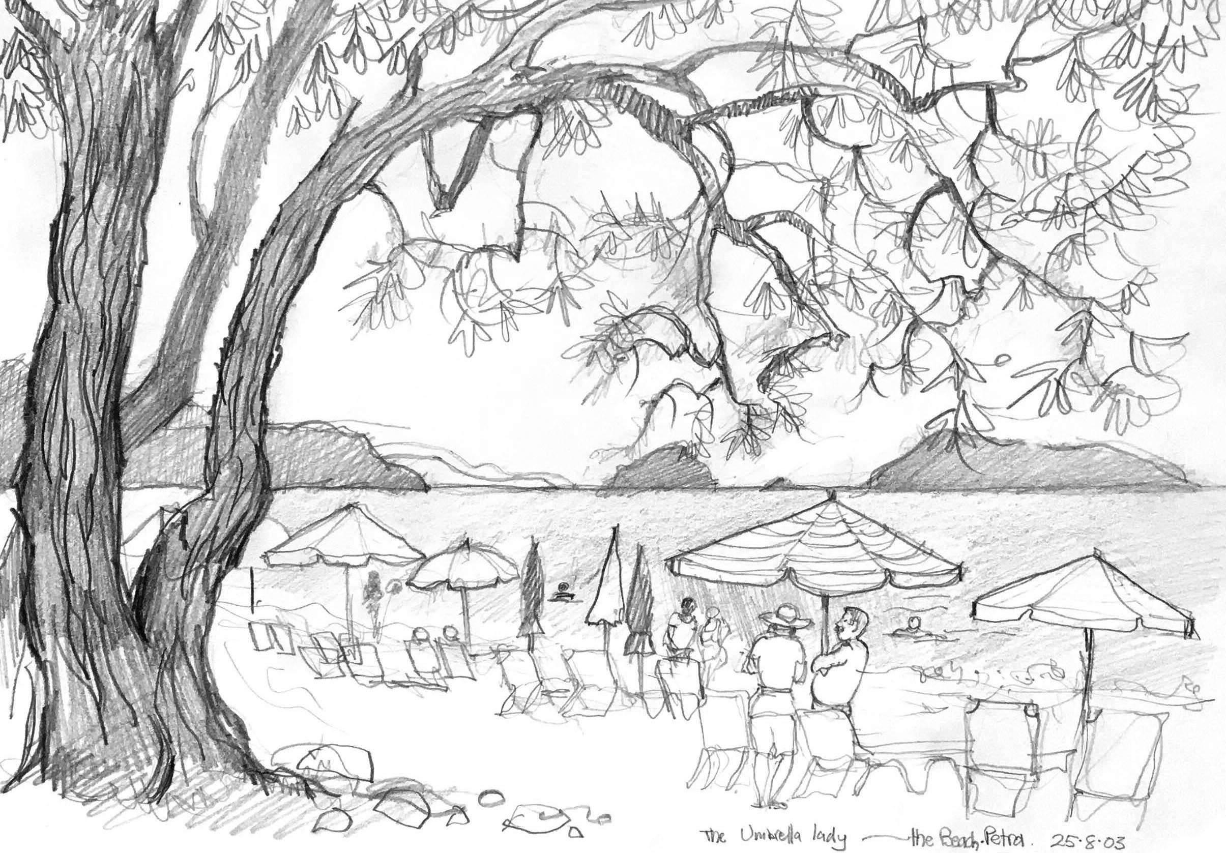 Drawings – David Williams Artist